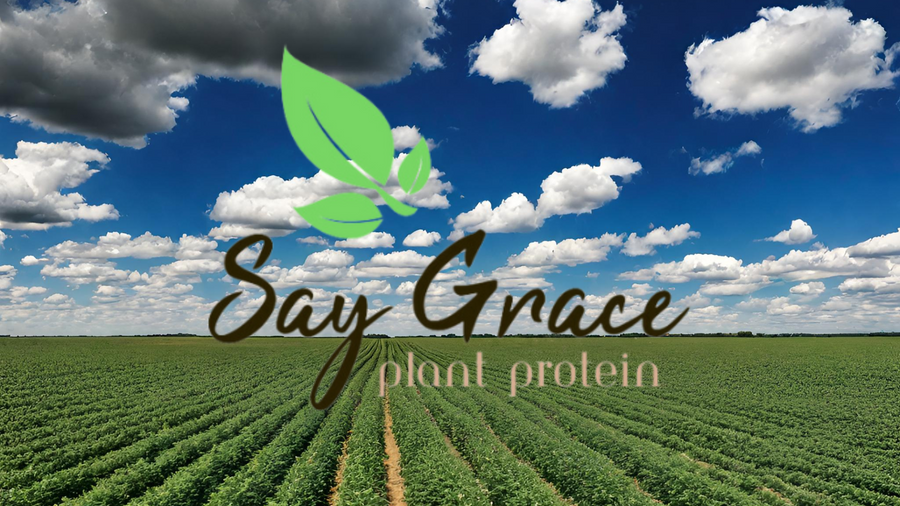 Say Grace